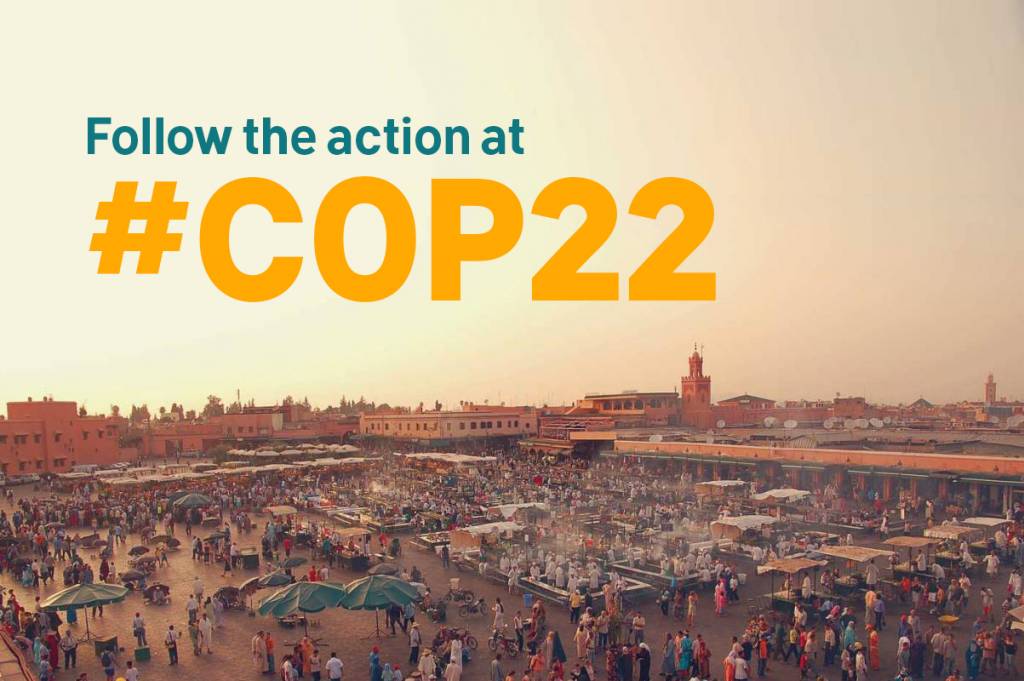 COP22: Marrakesh - 350