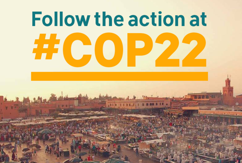 Our activities at COP22 - 350