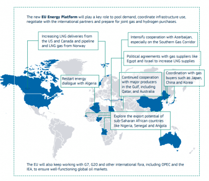 EU’s International Energy Strategy: A Reckless Response to a Global ...