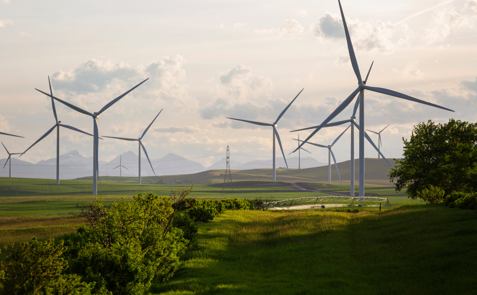 350.org Endorses Pine Tree Power Ballot Initiative - 350
